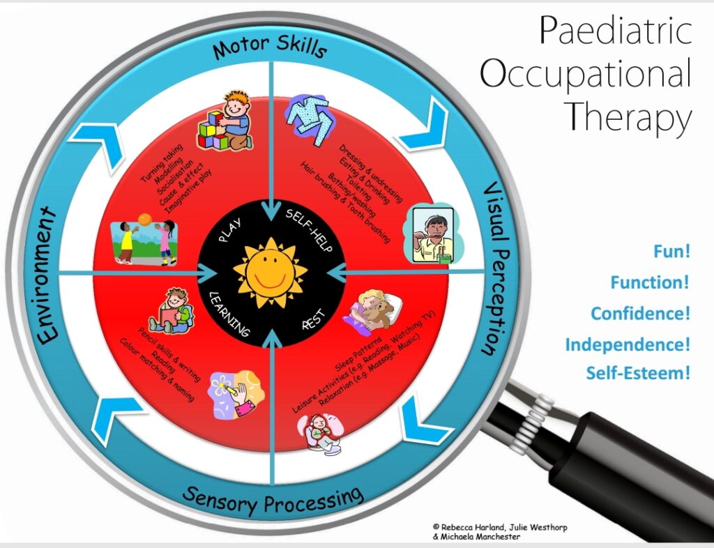 Private Occupational Therapy Services & Assessment Costs - Little Life ...